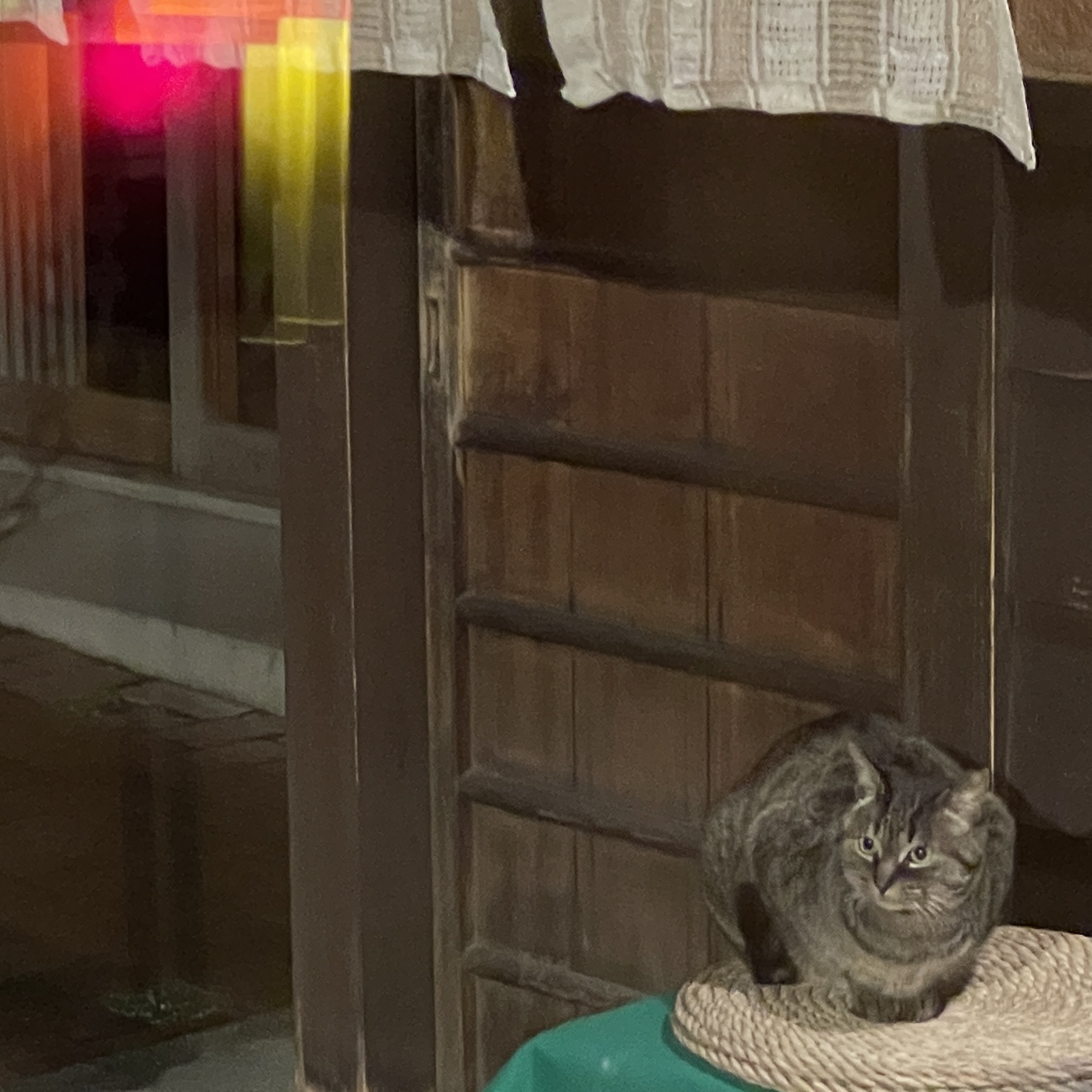 097 Taiwan and Korea in Kyoto. – ★ Kyoto Train Lab. ★ (by 京都鐵道文化工房)